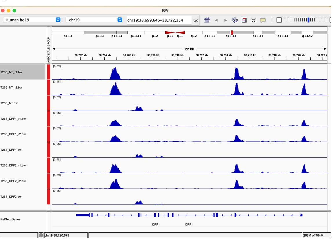 Two Replicates And The Combined Have Different Signal · Issue 426 · Encode Dcc Atac Seq