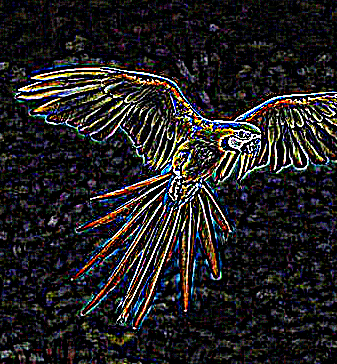 GitHub - TomkneZ/ImageEdgeDetection