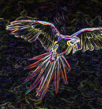 GitHub - TomkneZ/ImageEdgeDetection