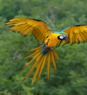 GitHub - TomkneZ/ImageEdgeDetection