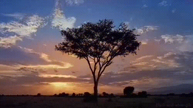 GitHub - Ahmed-Hossam-Aldeen/Colorize-Black-and-White-images-and-videos ...