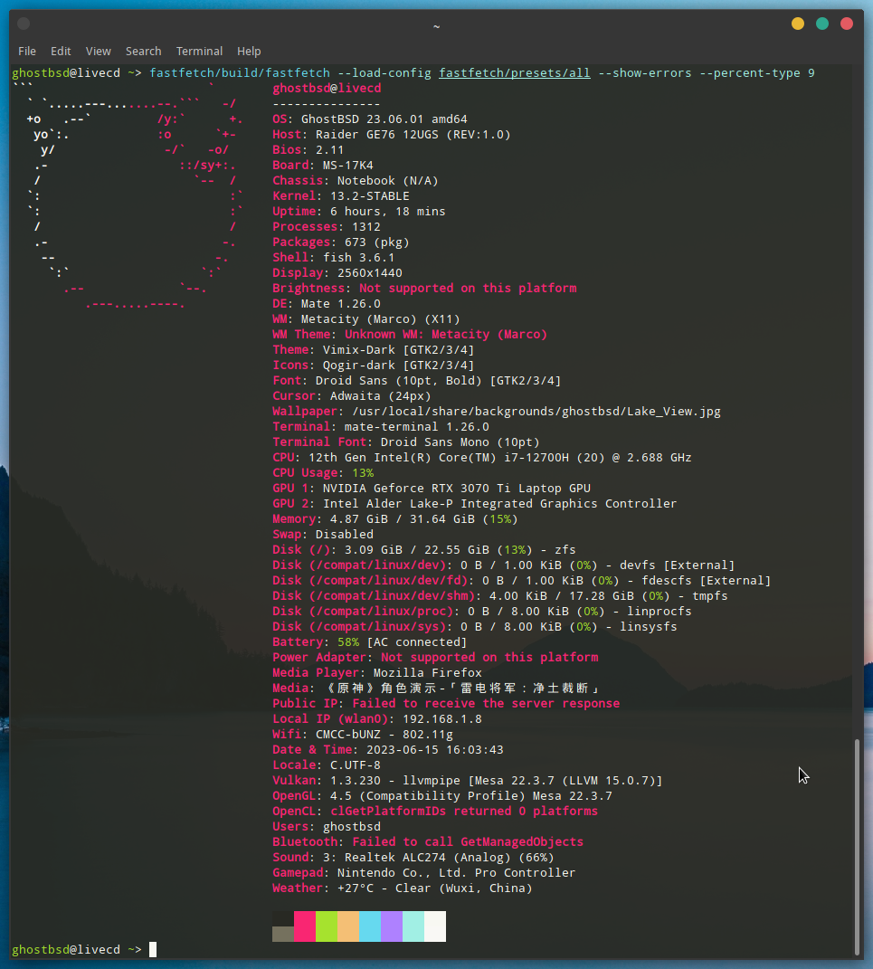 Wm Theme Unknown Wm Metacity Macro · Issue 475 · Fastfetch Clifastfetch · Github