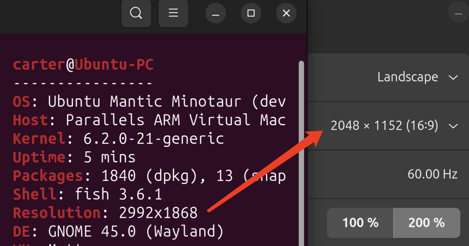wrong screen resolution on macos sonoma with oclp · Issue #196 · hykilpikonna/hyfetch · GitHub