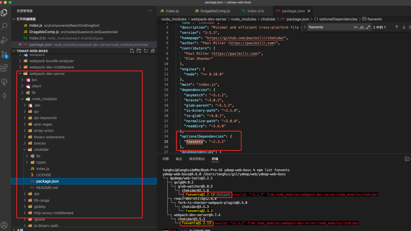 Bug Optionaldependencies Are Not Installed When A Local Path Is Used File · Issue 3846