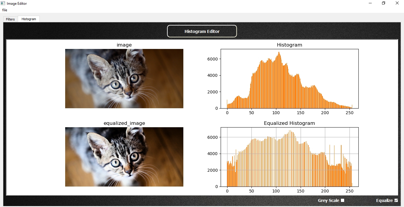GitHub - Baraa661/Image-Filters-and-Histogram-Equalization-UI