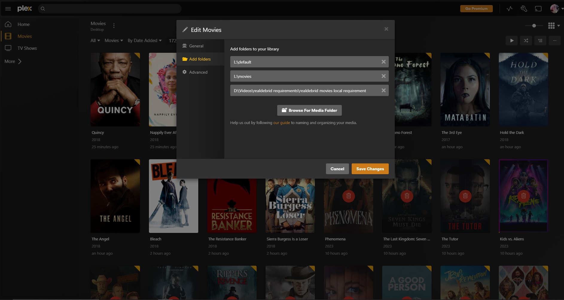 What have I overlooked? Any tips would be greatly appreciated! · itsToggle plex_debrid ...
