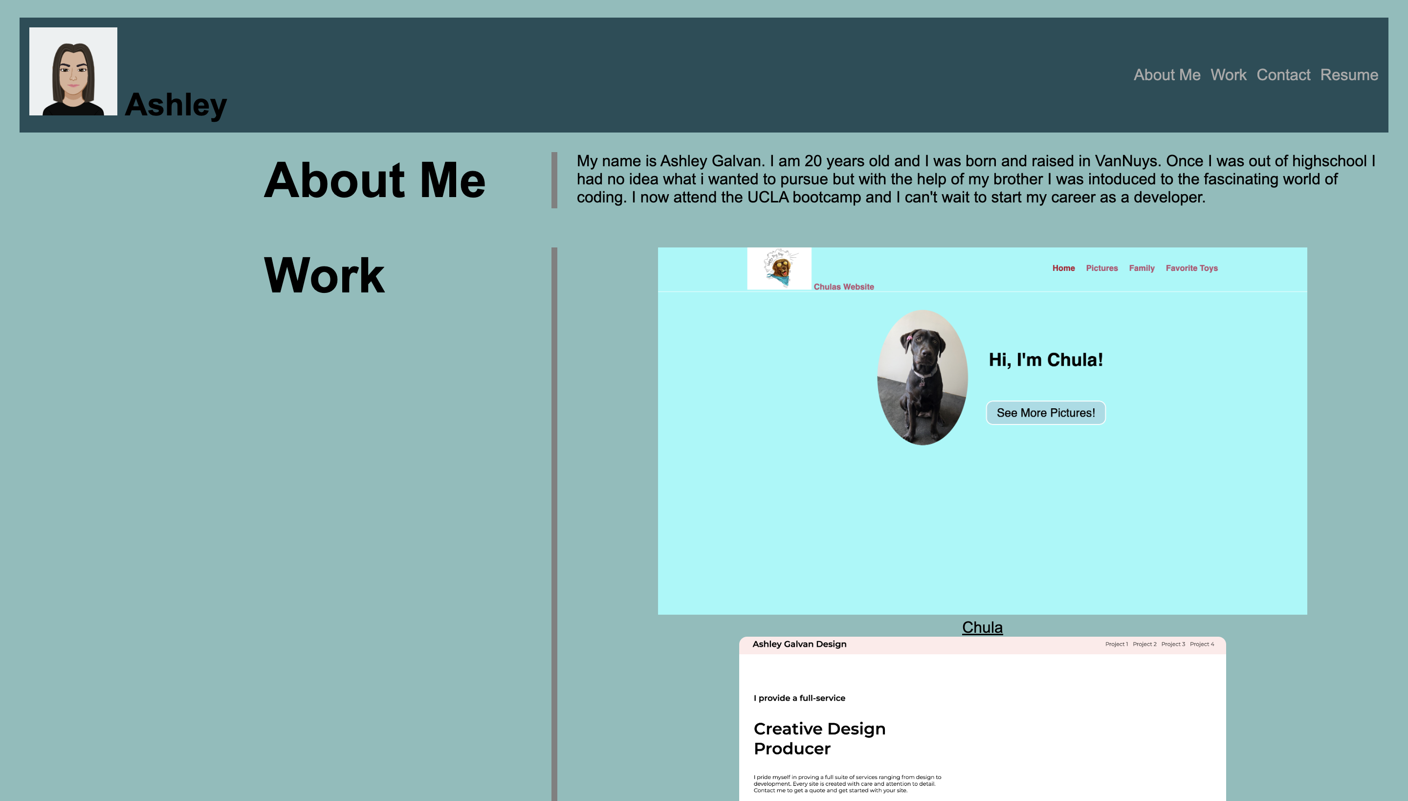 GitHub - Sinai161/Personal-Portfolio