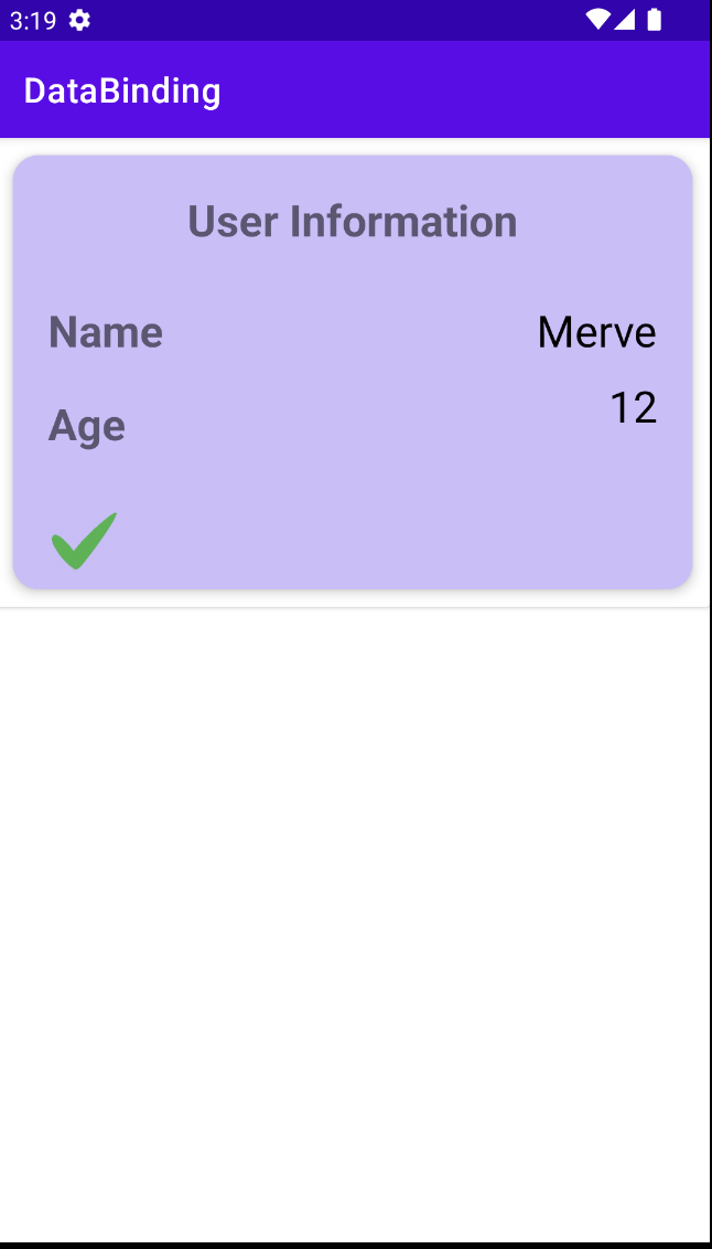 Github Zeynepmerve97 Databinding
