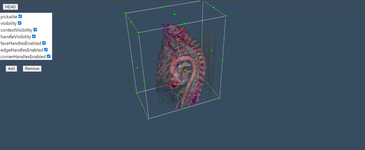 GitHub - habibamohamed4/VTK_Head_and_Chest