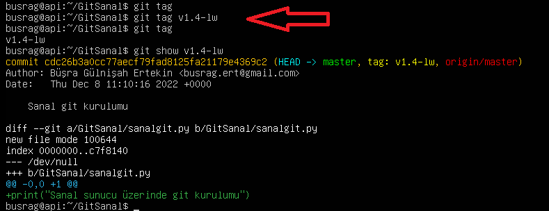 Github Busrag Gitsanal