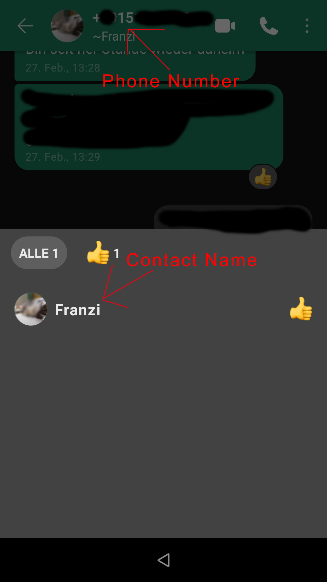 Contacts show phone numbers instead of names but only in the list · Issue #9492 · signalapp ...
