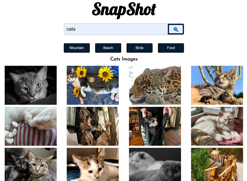 GitHub - ajarek/react-37-vite-ts-snap-shot