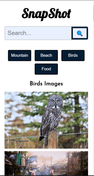 GitHub - ajarek/react-37-vite-ts-snap-shot