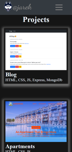 GitHub - ajarek/react-42-vite-portfolio-developer