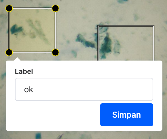 TypeError: overrideId is not a function · Issue #189 · annotorious/annotorious · GitHub