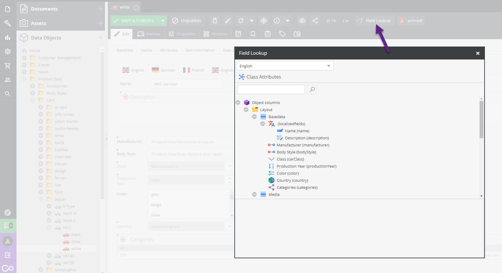 Field Lookup for Objects · Issue #5277 · pimcore/pimcore · GitHub