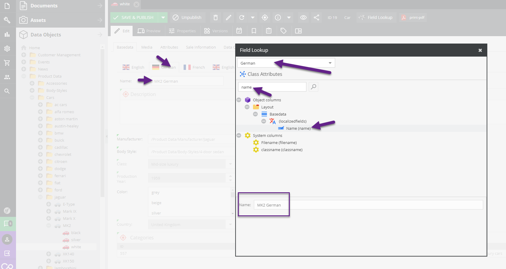 Field Lookup for Objects · Issue #5277 · pimcore/pimcore · GitHub