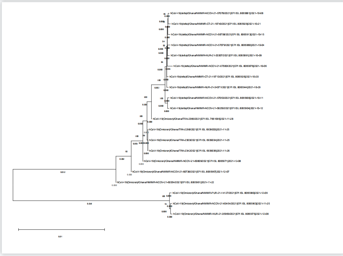GitHub - nadamaghraby/SARS-COV2: We are required to conduct a ...