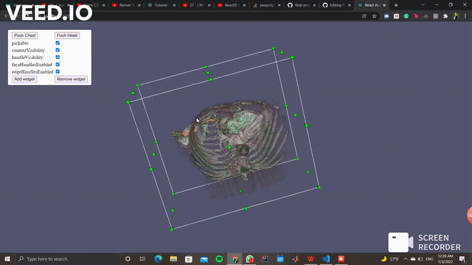 GitHub - nadamaghraby/VolumeRendering_VTK
