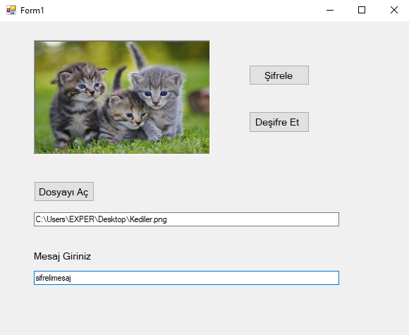 GitHub - ElifNurHalat1/GoruntuSteganografi: Steganografi, eski ...