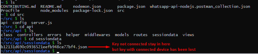 Instance Lost after some time · Issue #99 · salman0ansari/whatsapp-api-nodejs · GitHub
