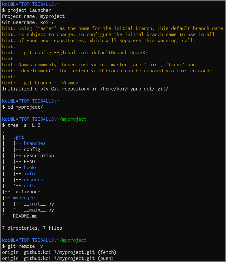 GitHub - koi-7/project-launcher-for-python: Script for launching a ...