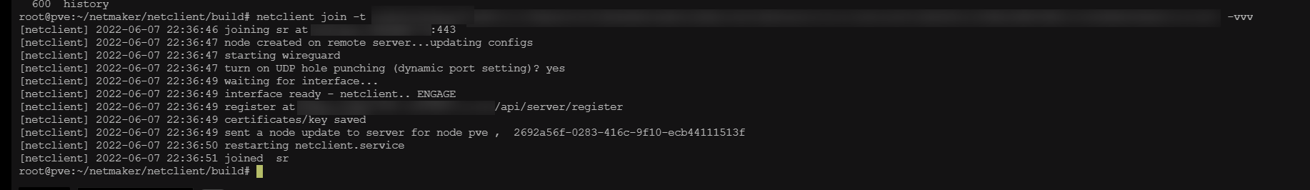 [Question]: change iplist and rebuild can't join · Issue #1187 · gravitl/netmaker · GitHub
