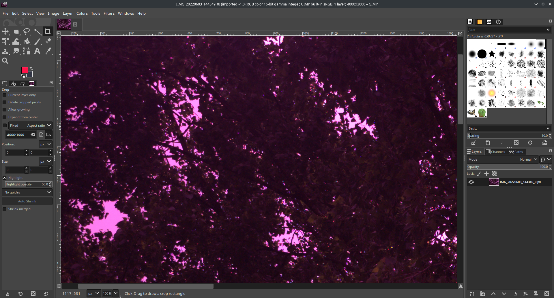 Converting DNG to JXL nearly doubles the filesize · Issue #1492 ...