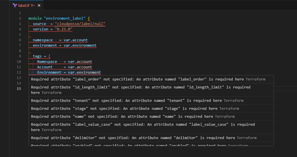 Module inputs rendered as invalid for Registry module · Issue #1582 · hashicorp/vscode-terraform ...