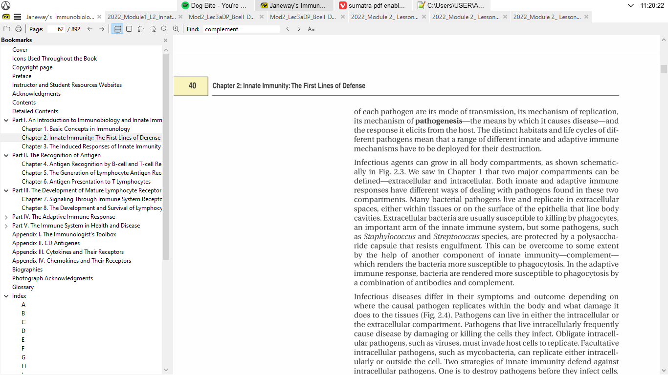 Horizontal scrolling beyond bounds · sumatrapdfreader sumatrapdf · Discussion #2463 · GitHub