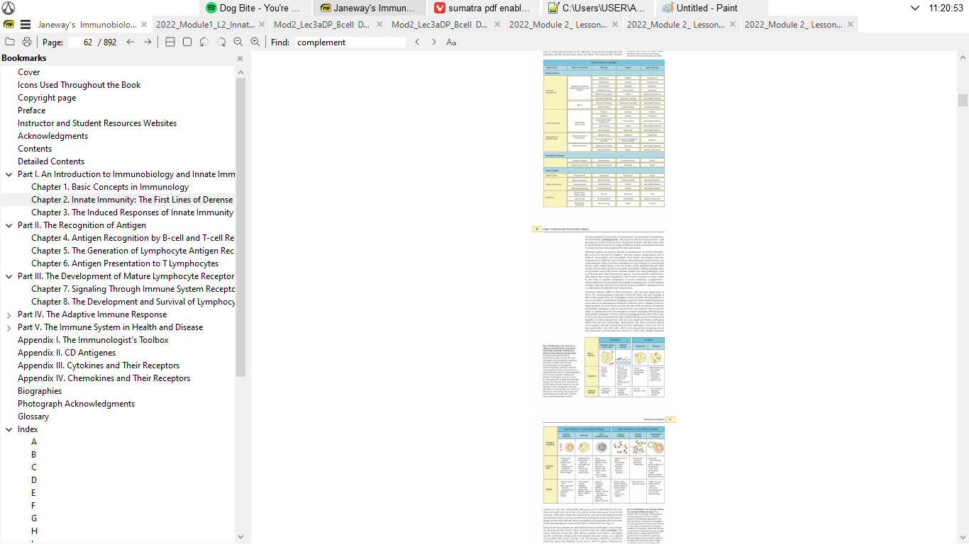 Horizontal scrolling beyond bounds · sumatrapdfreader sumatrapdf · Discussion #2463 · GitHub