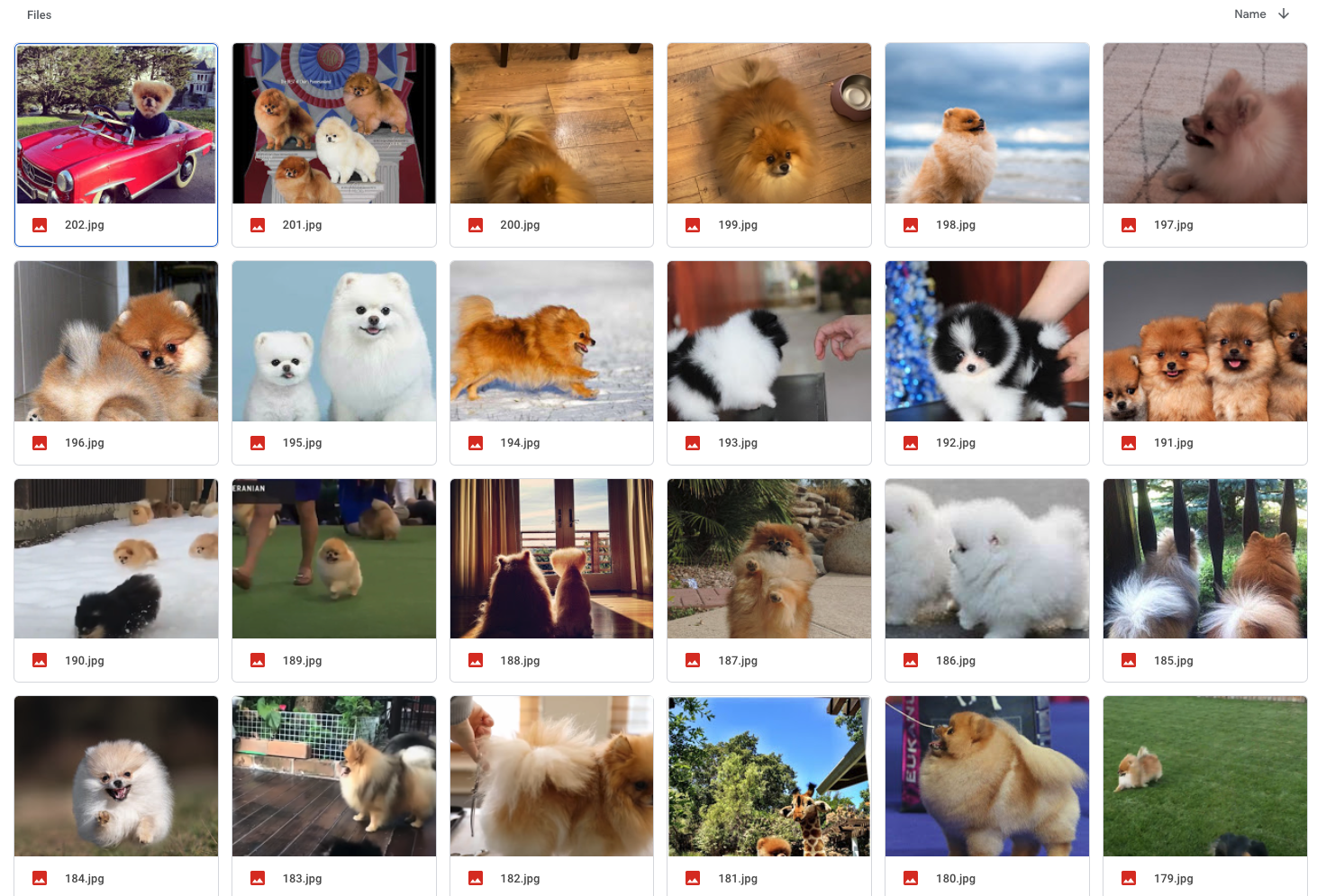 GitHub - kenaimachine/transferlearning_featureextractor_dogclassifer ...