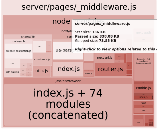 Should the middleware be part of the client bundle? · vercel next.js · Discussion #33213 · GitHub