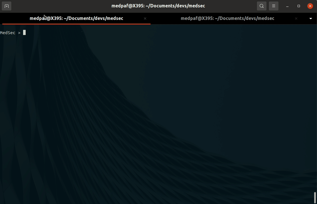 GitHub - UA-SOlsen/medsec: Network utility tool for Linux systems that performs some network and ...