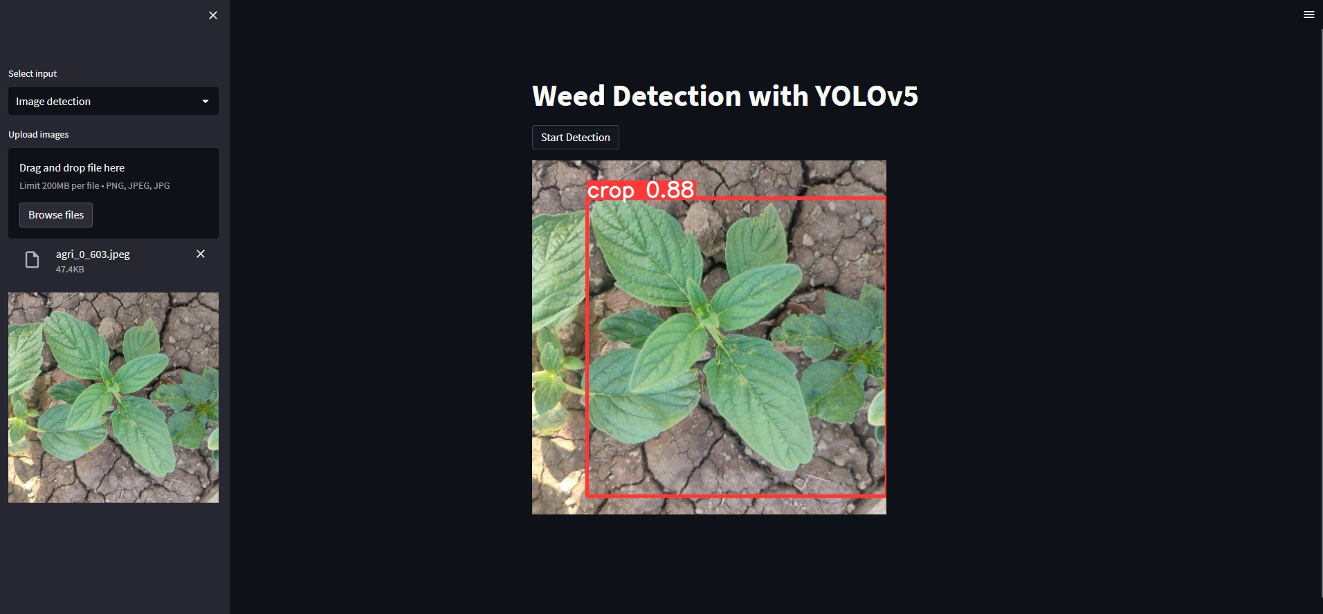 GitHub - zakariaelidrissi/WeedDetection