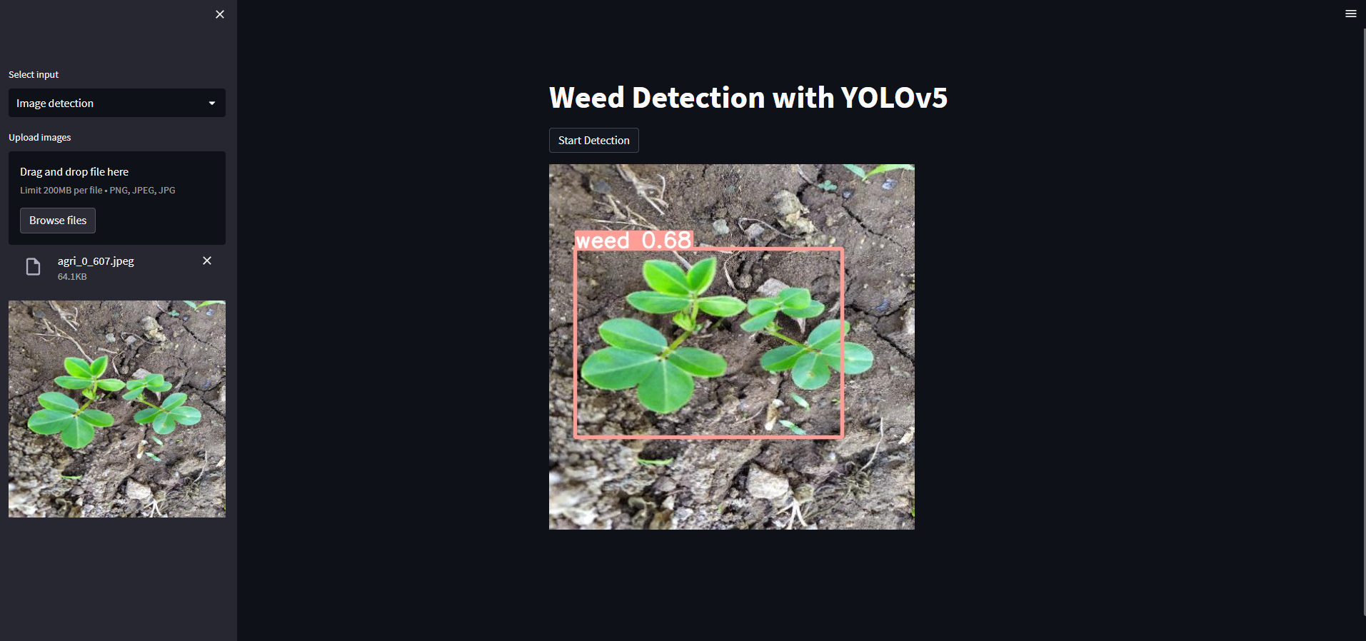 Github Zakariaelidrissi Weeddetection