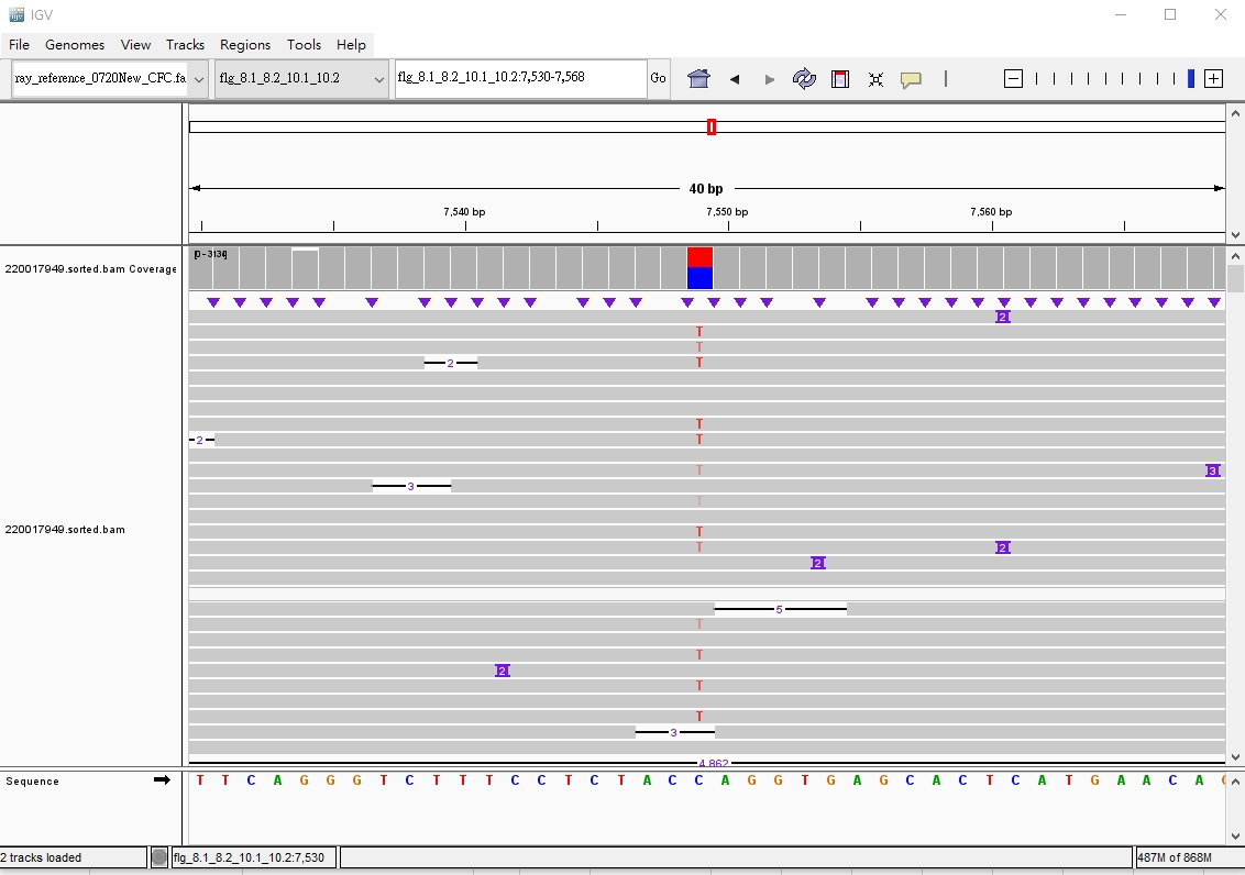 variants are not called by run_pepper_margin_deepvariant · Issue #137 · kishwarshafin/pepper ...