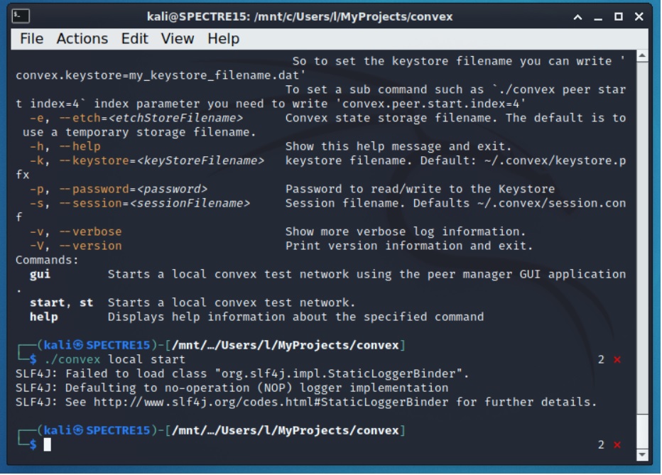 SLF4J Issue in Kali-linux · Issue #233 · Convex-Dev/convex · GitHub