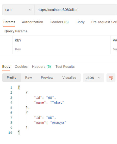 GitHub - edakass/SpringBoot_iller