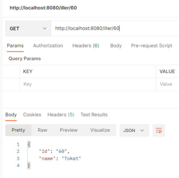 GitHub - edakass/SpringBoot_iller