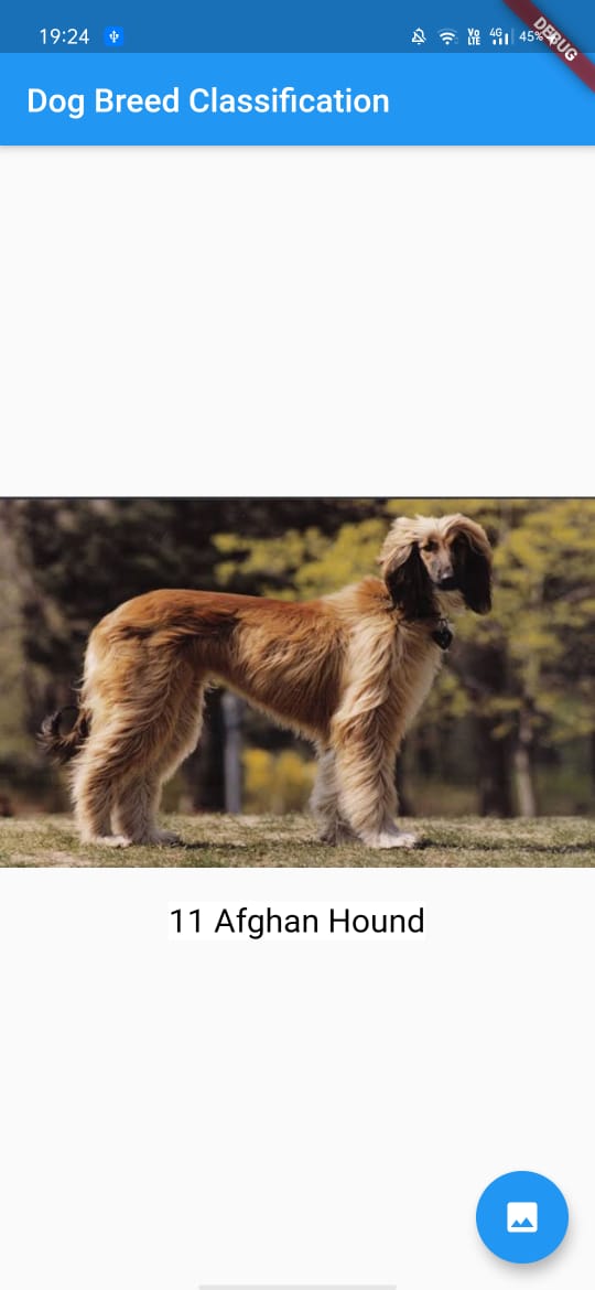 GitHub - pashva/Dog-Breed-Identification-ML-Flutter-