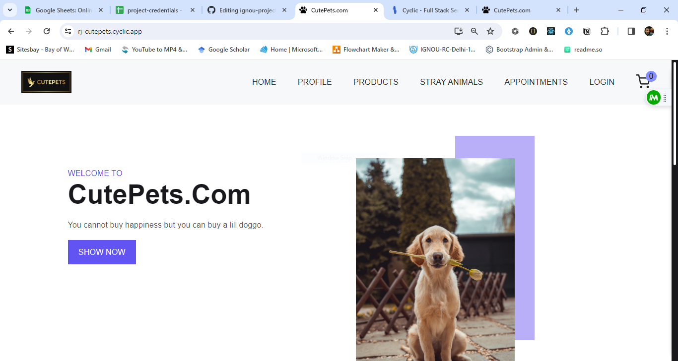 GitHub - RealRajnish/ignou-project: backend of the cutepet shop app using node