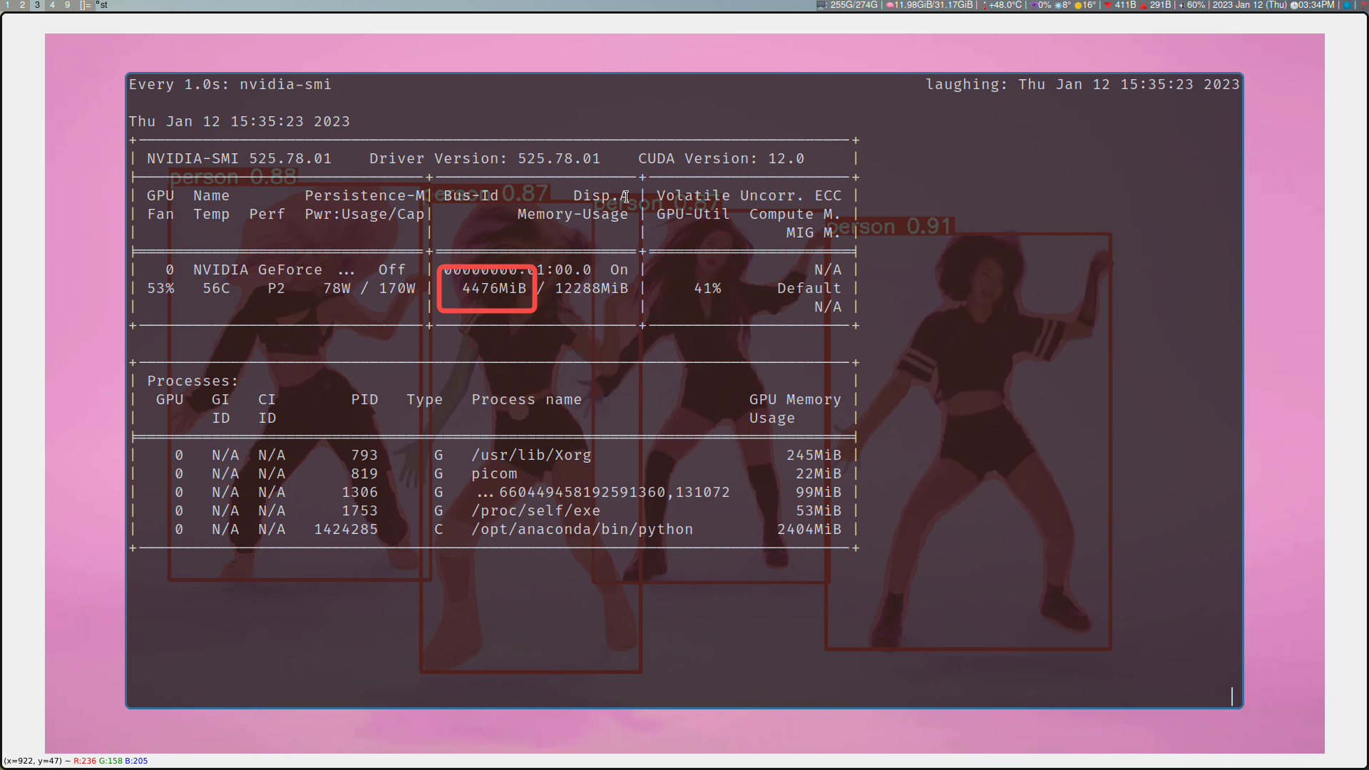 GPU memory usage increasing during segmentation inference · Issue #281 · ultralytics/ultralytics ...