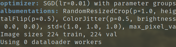 Classify training, image size 640 forced to 224 · Issue #288 ...