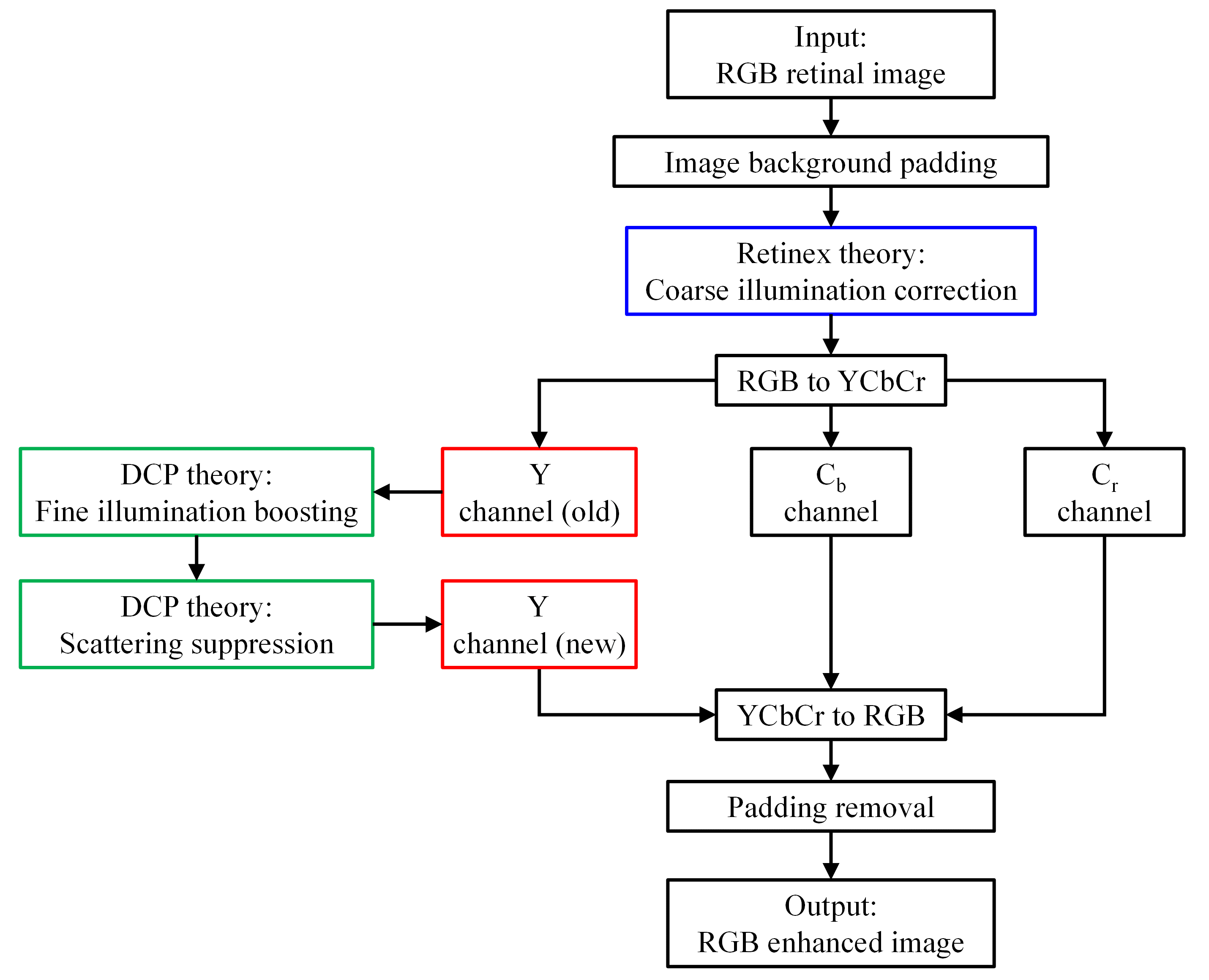 GitHub - ShuheZhang-MUMC/Double-Pass-Fundus-Reflection-model: A double ...