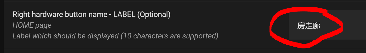 Adding New Languages · Issue #797 · Blackymas/NSPanel_HA_Blueprint · GitHub