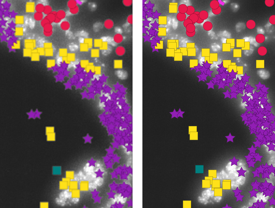 Saving/Exporting High-Res Figures · Issue #3 · TissUUmaps/TissUUmaps ...