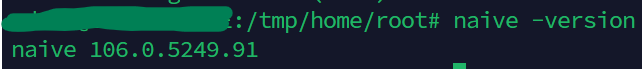 version number from the output through $(naive -version) doesn't contain "-1" "-2" etc · Issue ...