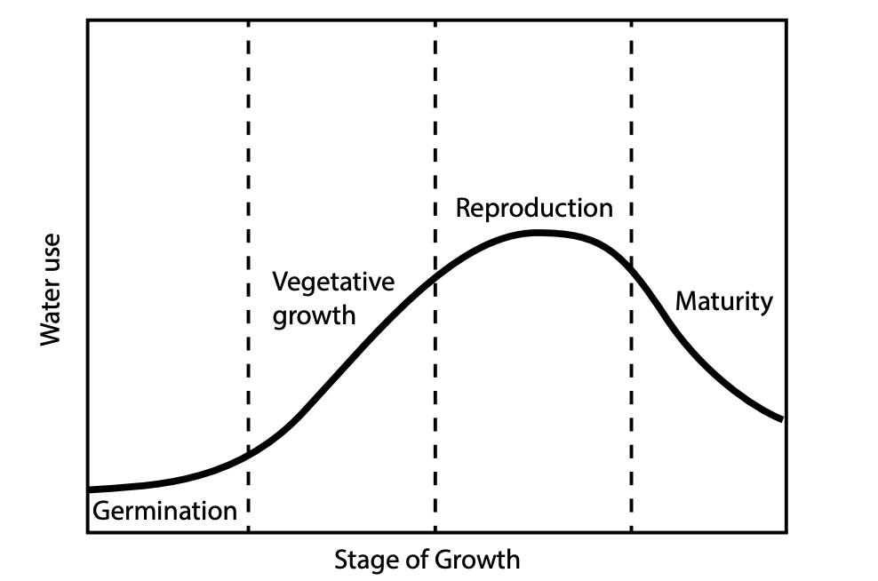GitHub - tif03/Plant-Growth-and-Water-Usage-Data-Analysis: Simulating ...