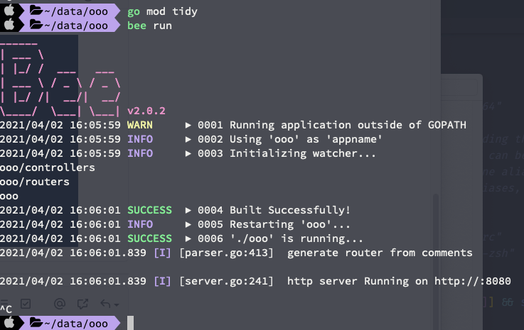 文档中的快速入门无法成功 · Issue #4559 · beego/beego · GitHub